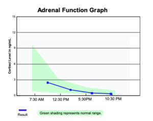 Cortisol (Stress Hormone) Testing - Health and the City